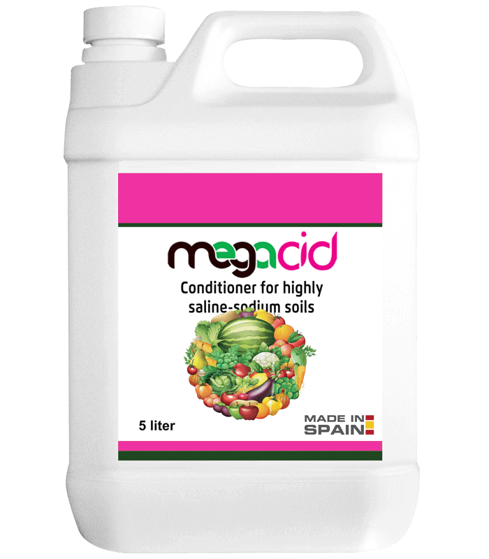 مگاسید – گرین آرا وارک