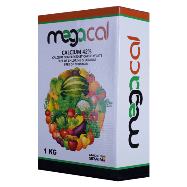 مگاکال – گرین آرا وارک